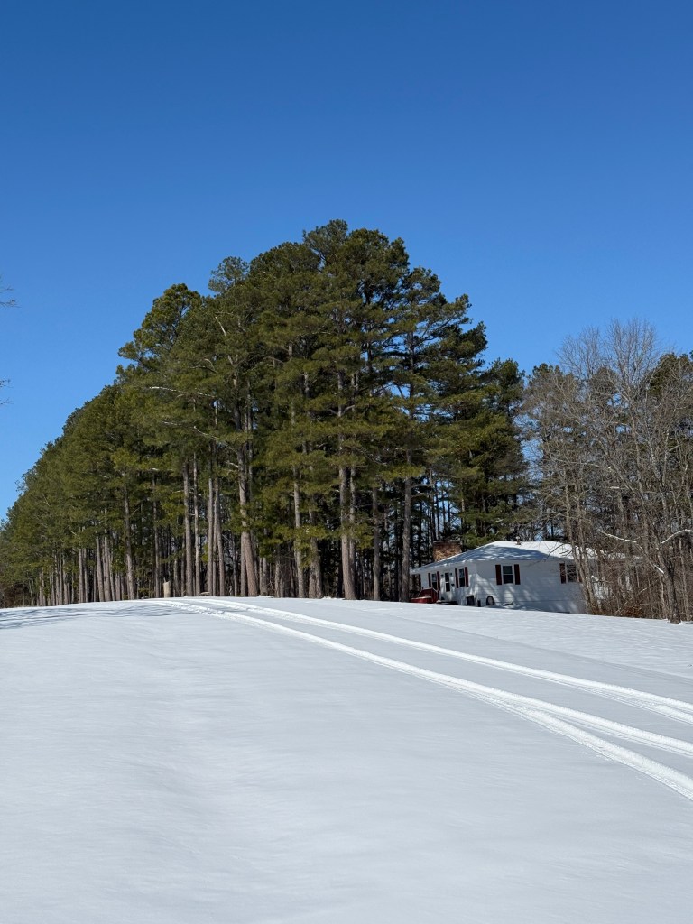 Photography – Peppermint Springs Farm